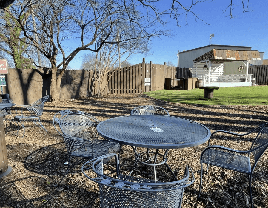 Primeiro bar para cachorros no EUA 🐶🍺