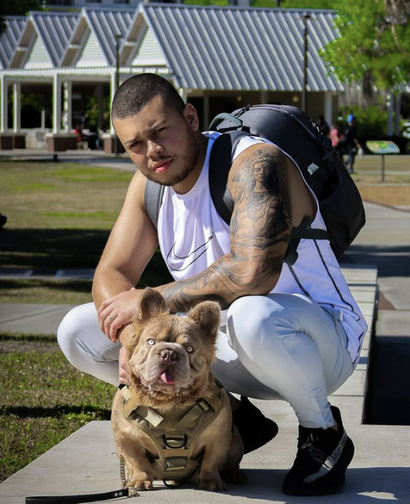Qual é o cachorro mais caro do mundo? (com fotos) 2024
